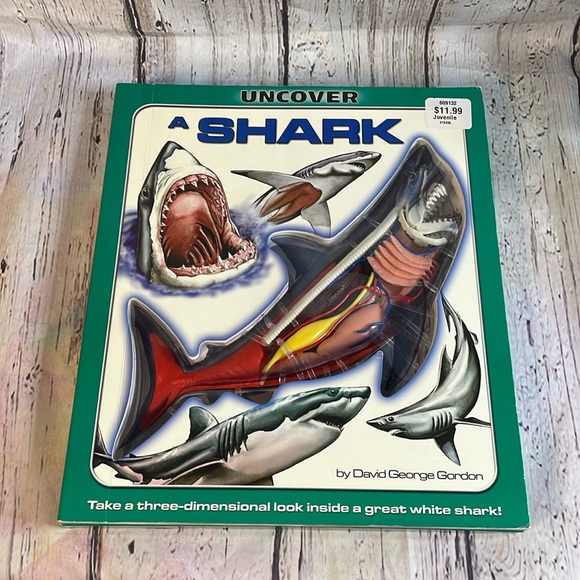 Silver Dolphin | Toys | Uncover A Shark Book | Poshmark